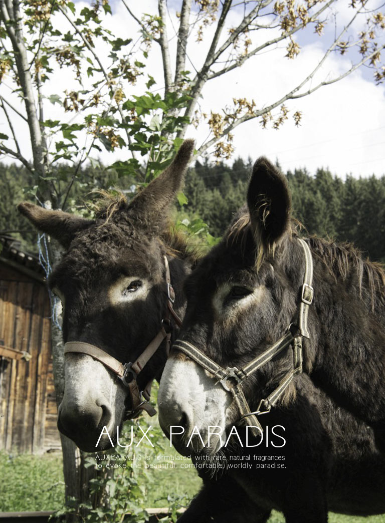 AUX PARADIS 公式オンラインショップ